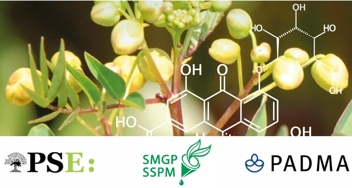 11th Day of Life Sciences hosts Hydroxyanthracene Derivatives Symposium ...