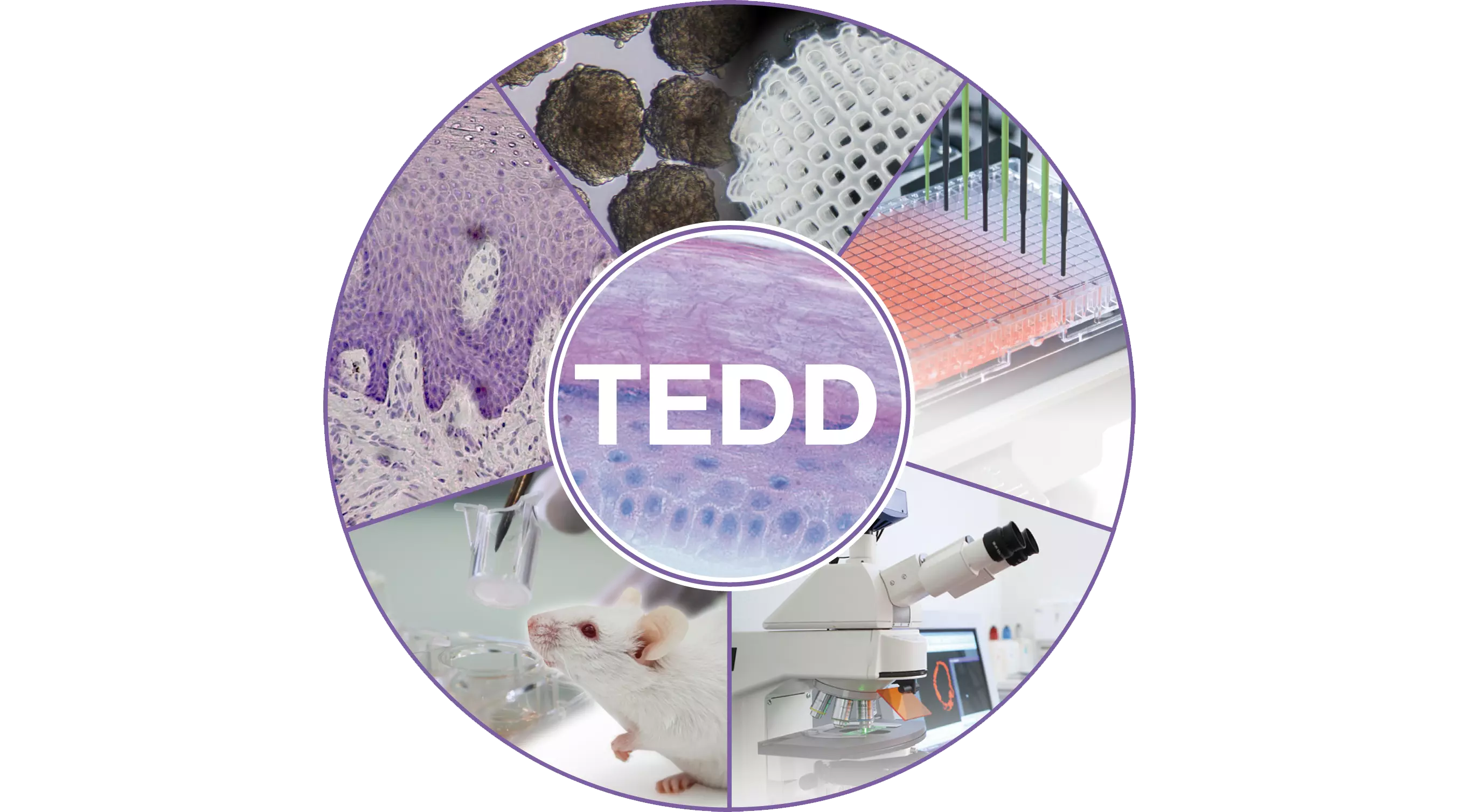 TEDD Partner Highlights | ZHAW Life Sciences und Facility Management