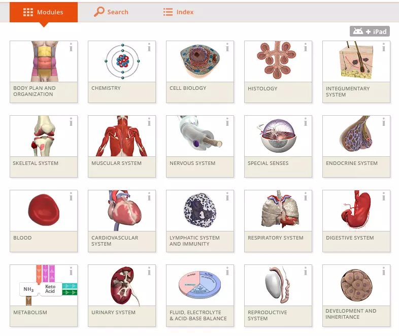 Primal Pictures Upgrade: 3D Human Anatomy & Physiology Package | ZHAW ...