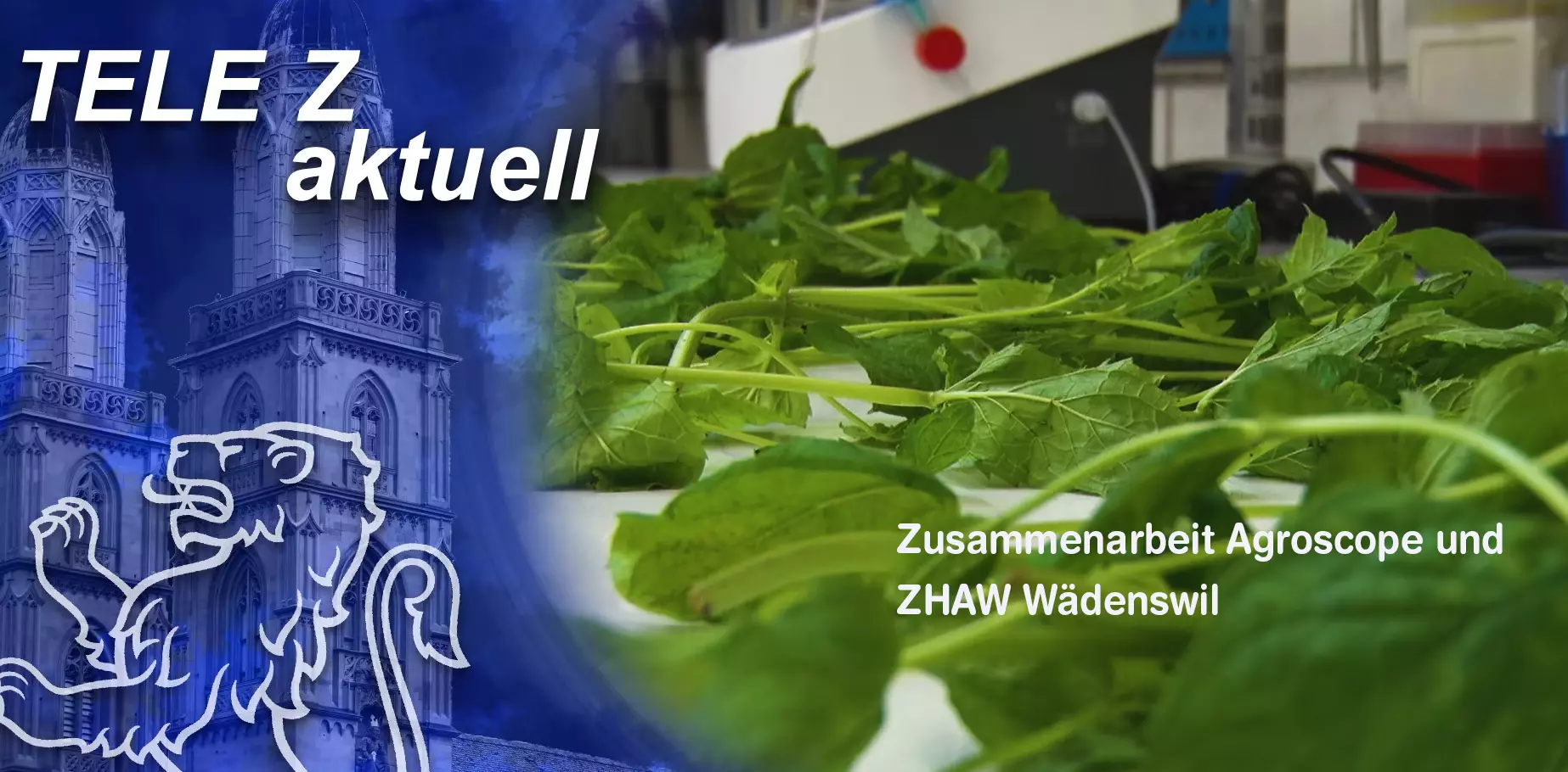 Lebensmittelforschung: eine Partnerschaft zwischen Agroscope und ZHAW ...