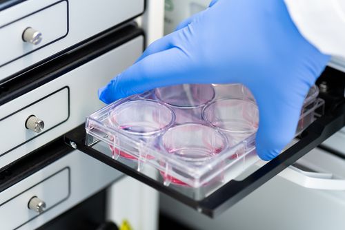 Day of Life Sciences 2022: Interdisciplinary approaches to drug ...