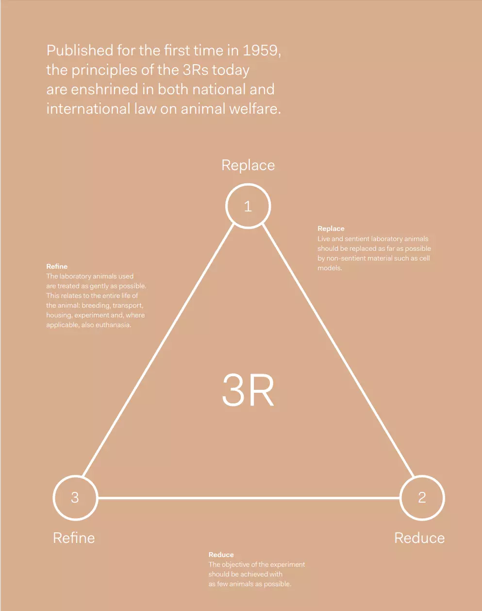 Prof. Michael Raghunath in the Executive Board of new 3R Competence ...