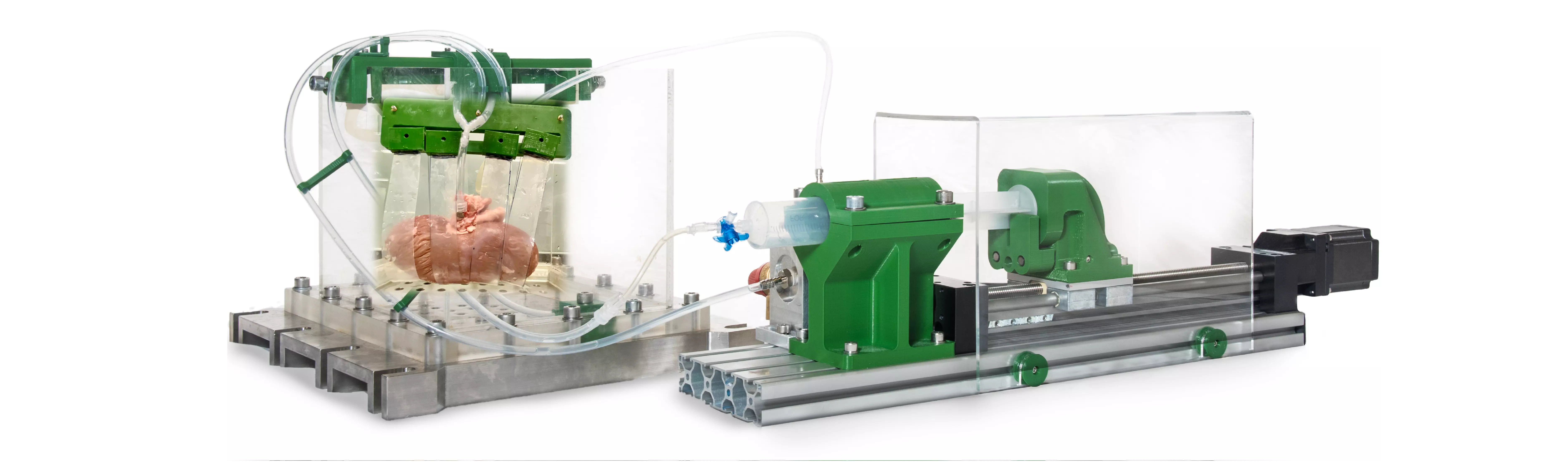 Soft Tissue Biomechanics | ZHAW Institute of Mechanical Systems IMES