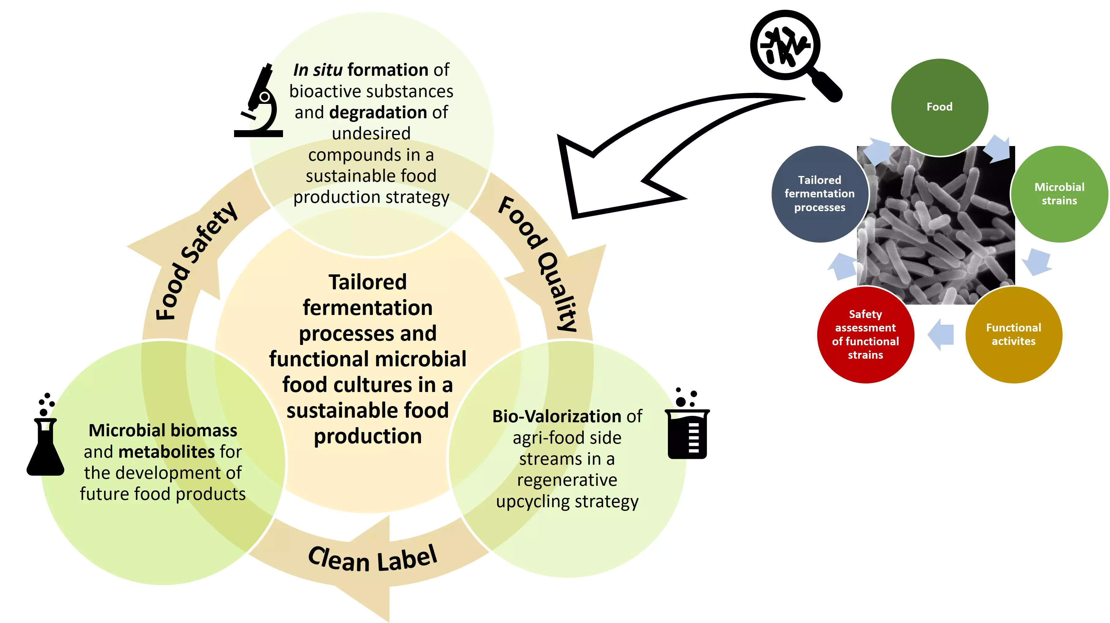 Food Biotechnology Research Group | ZHAW Institute of Food and Beverage ...