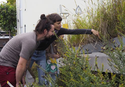 Campus Tag der Biodiversität – eine Einladung zur Entdeckung der ...