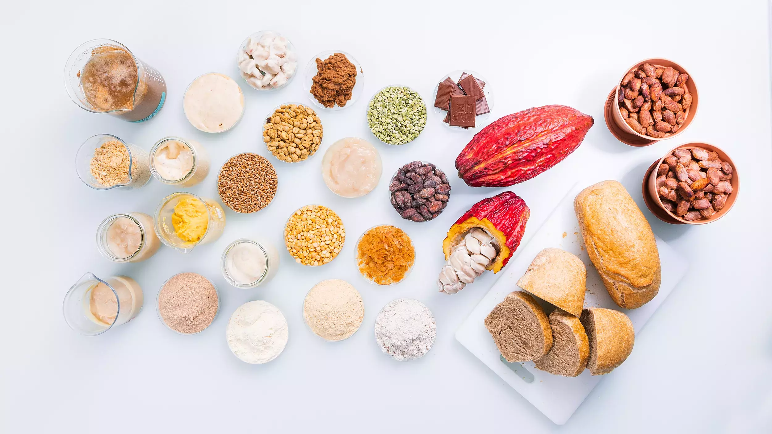 Food Biotechnology Research Group | ZHAW Institute of Food and Beverage ...