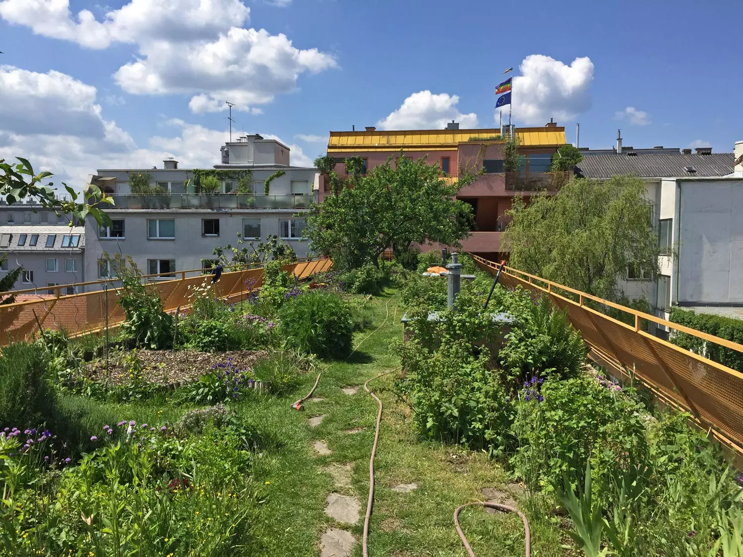 Urban Gardening | ZHAW Institute of Sustainable Development INE