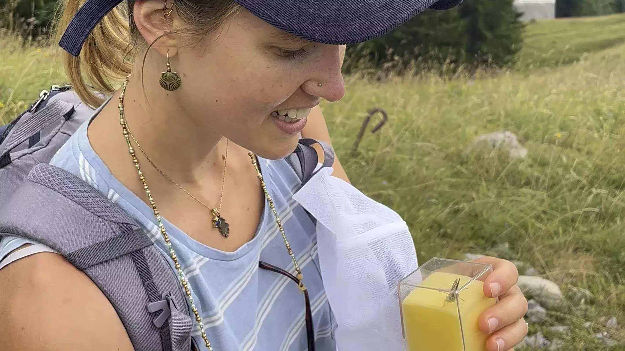 Ergänzung zum Tagfalter-Inventar des Kantons Zürich geht weiter | ZHAW ...