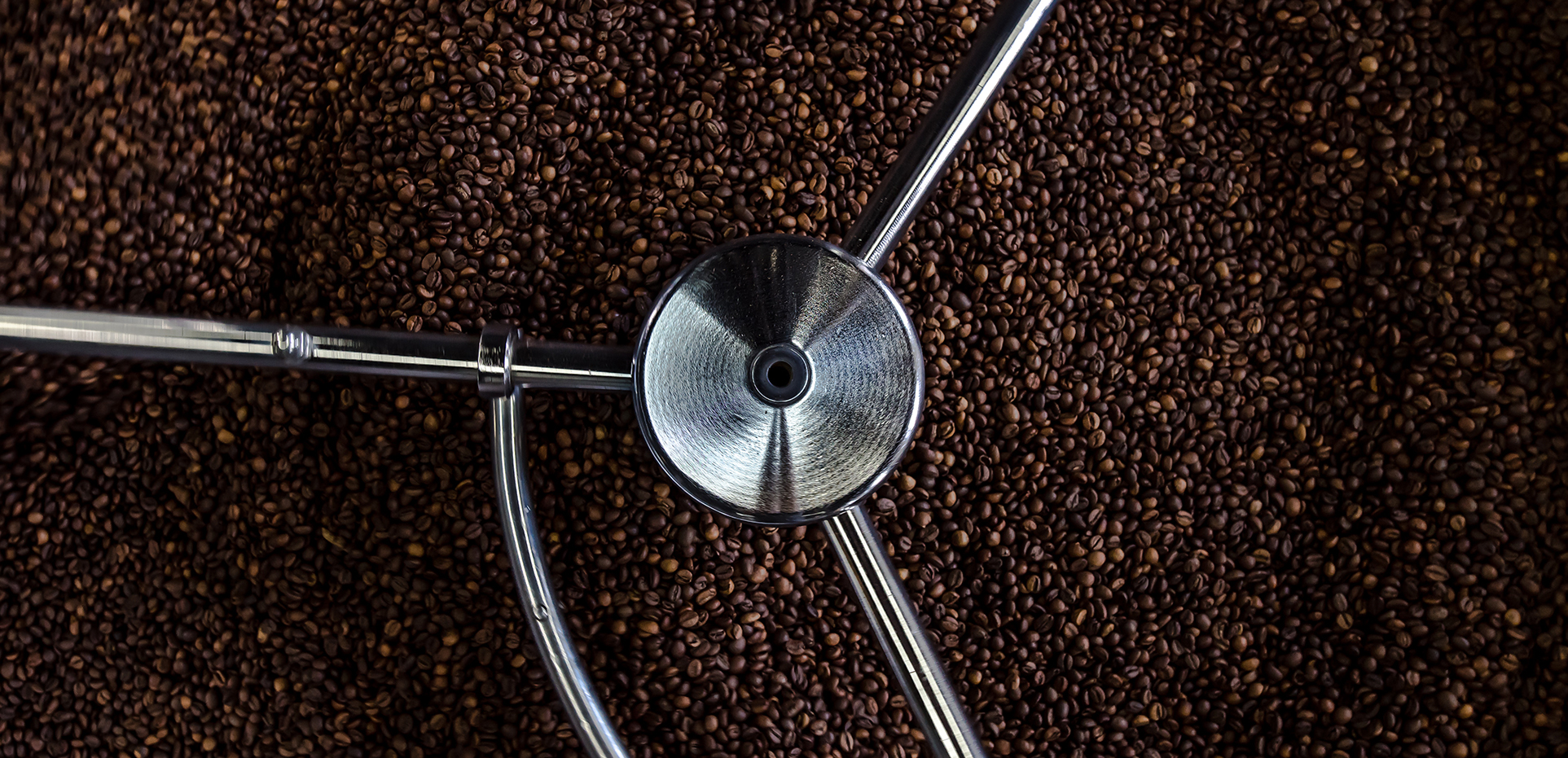 Research Field Transformation of Coffee | ZHAW Institute of Chemistry ...