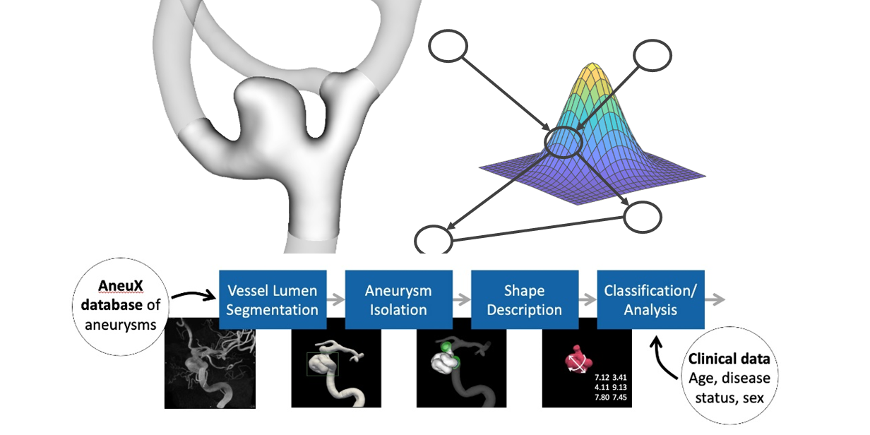 Research Group Medical Image Analysis & Data Modeling | ZHAW Institute ...